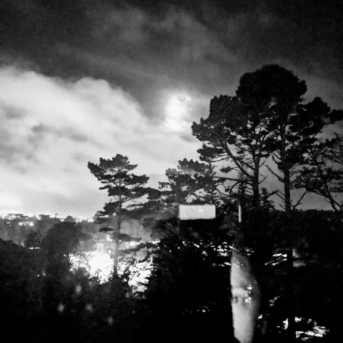 Your Eyes | MichelleLuna