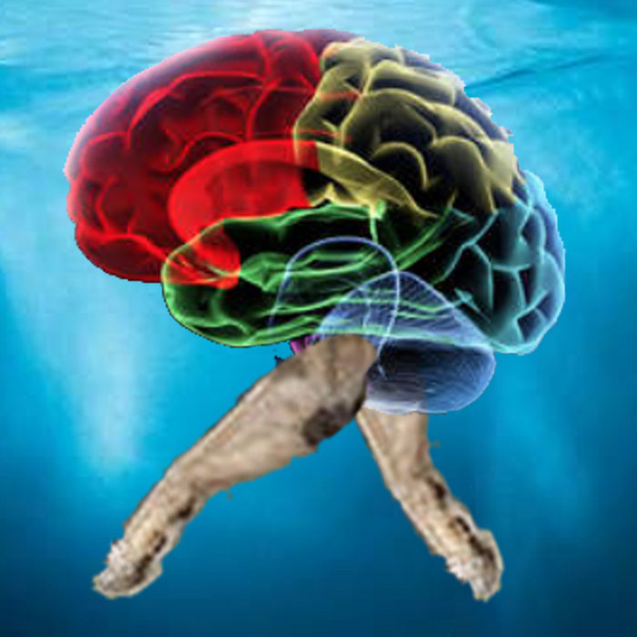 Walking brain orchestra | The Branches' Root