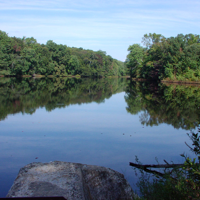 Goin' Down | Dan elmer