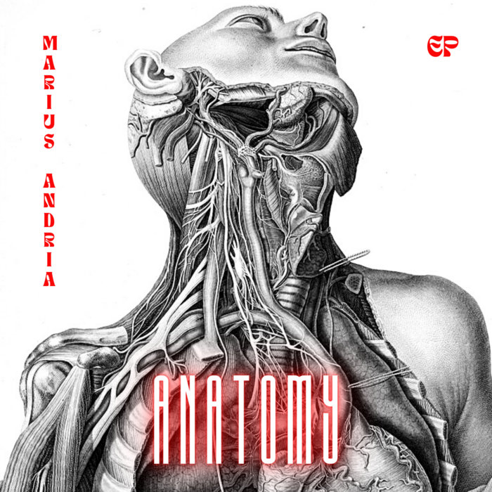 ANATOMY | Marius Andria