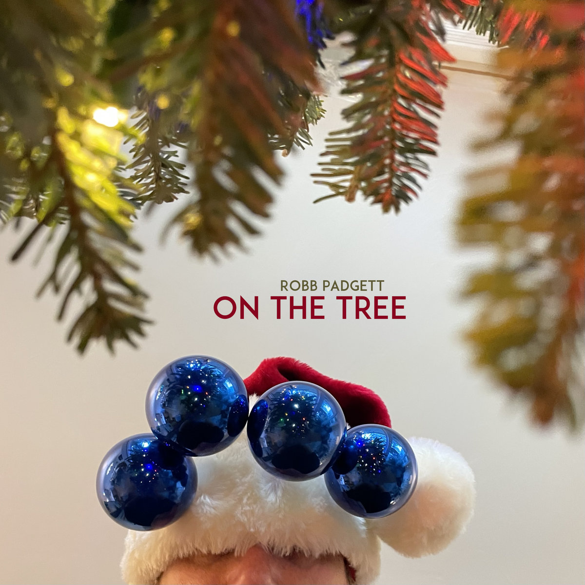 Robb Padgett: On The Tree | Robb Padgett