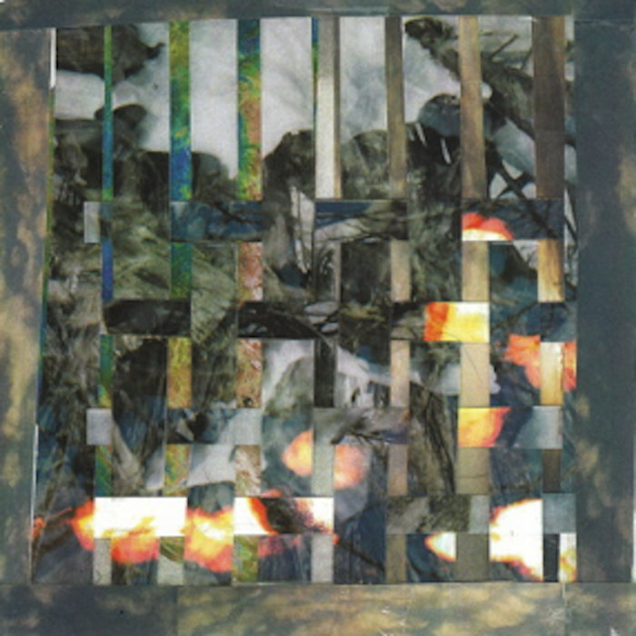 Color Rabbit Split | SPERMWHALES