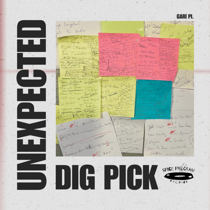 Unexpected Dig Pick | Gari Pi | Spice Programmers