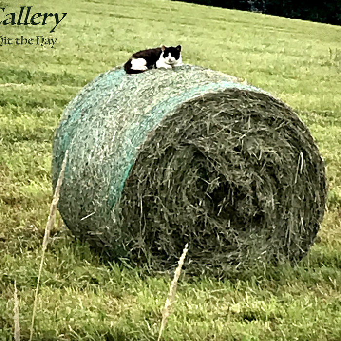 Hit the Hay | Callery