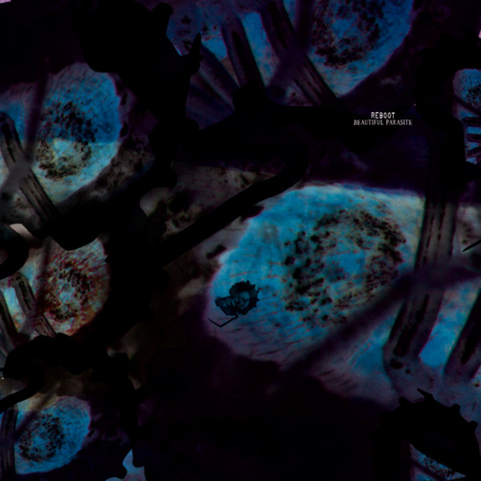 Beautiful Parasite | Reboot | Cadenza