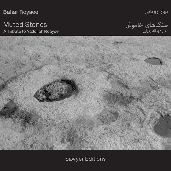Muted Stones: A Tribute to Yadollah Roayee | Bahar Royaee | Sawyer Editions