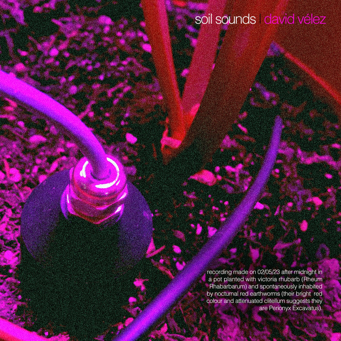 Soil Sounds | David Vélez | David Velez