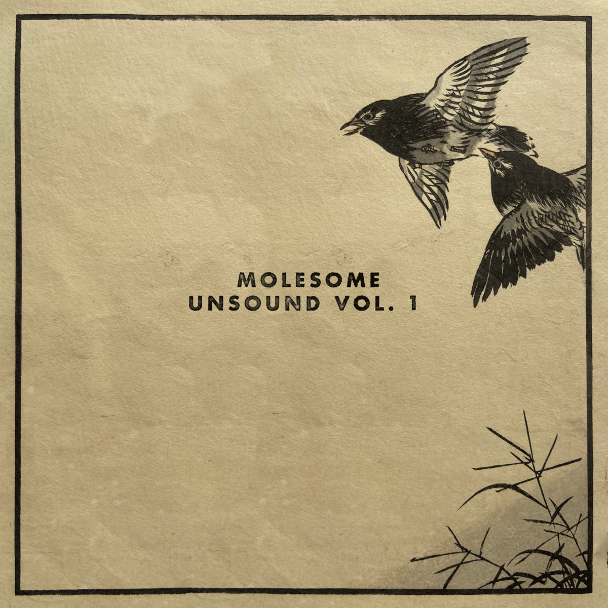 Unsound Vol.1 | Molesome | Roth-händle