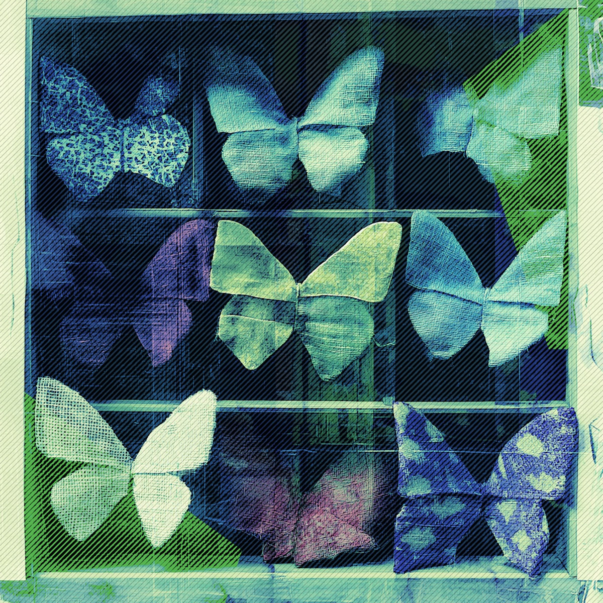 Flightless | Blue Dot Sessions