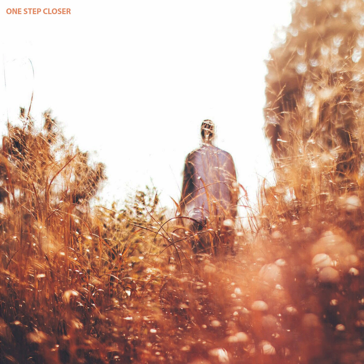 One Step Closer | One Step Closer