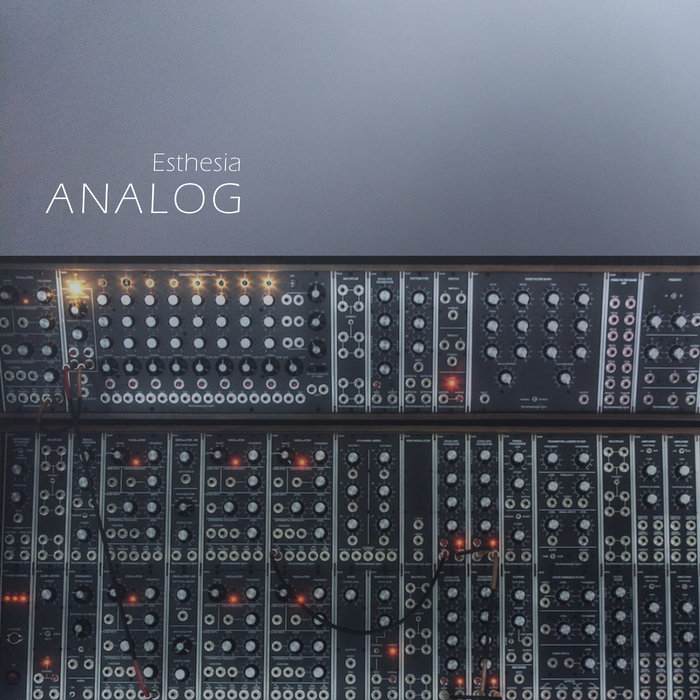 Analog | Esthesia