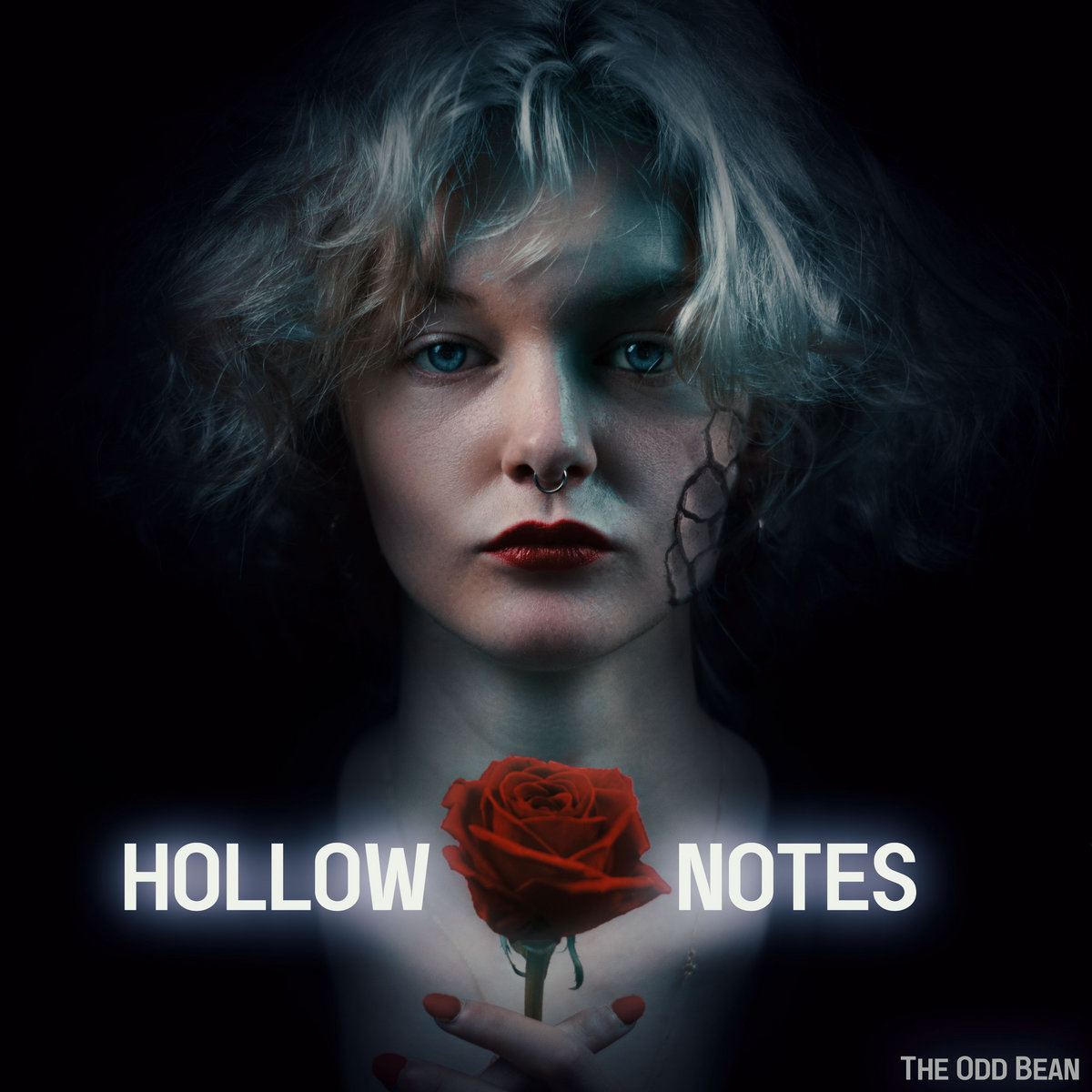 Hollow Notes | The Odd Bean