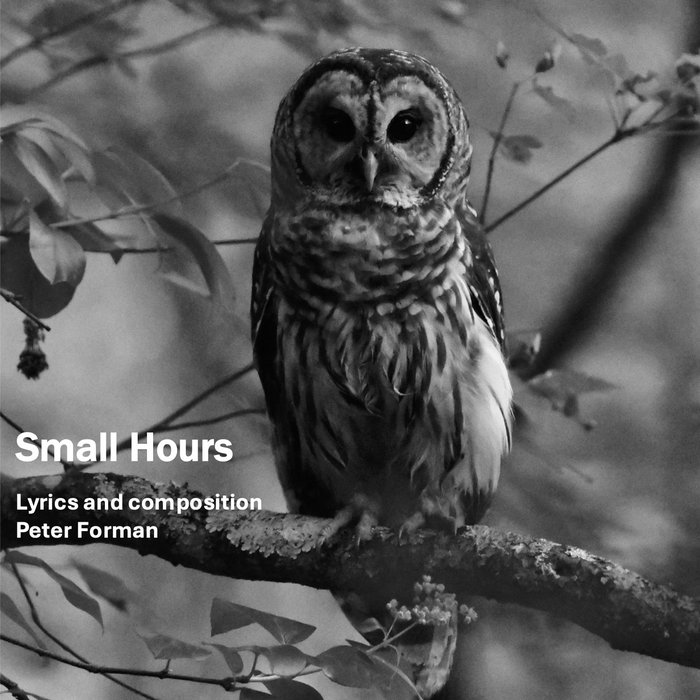 Small Hours | Peter Forman