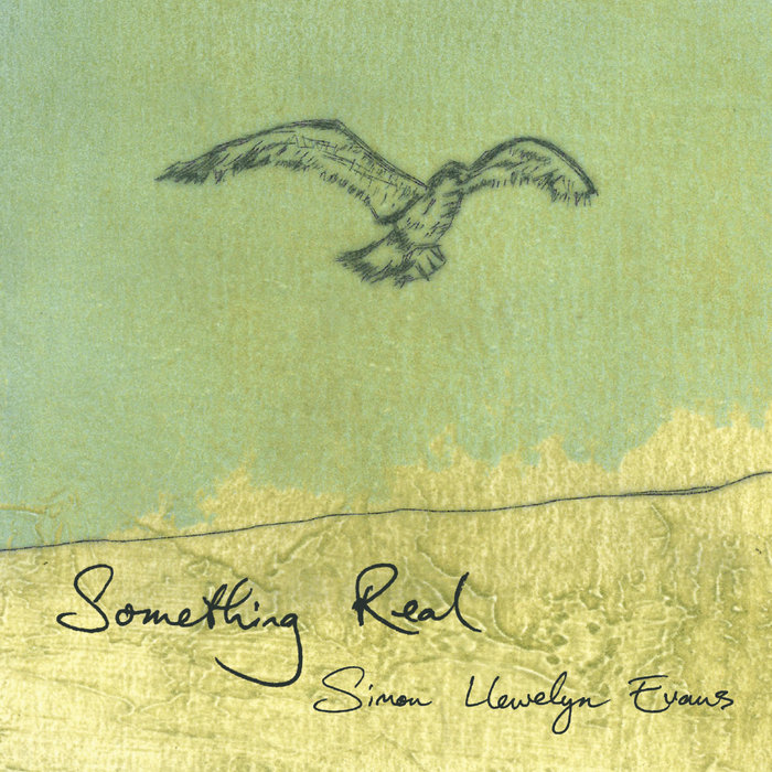 Something Real | Simon Llewelyn Evans