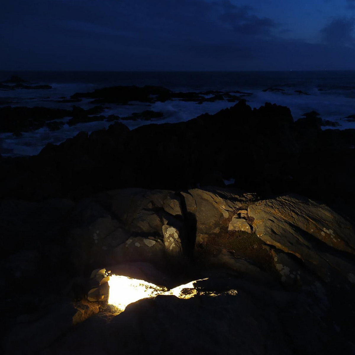 Roots of Empathy | Henry Cyer