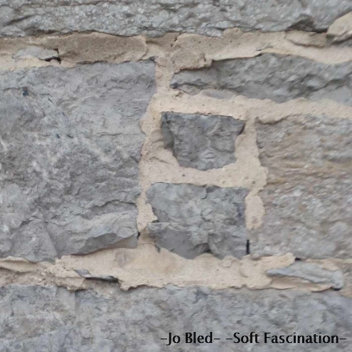 Soft Fascination | Jo Bled | Muteant Sounds (net label)