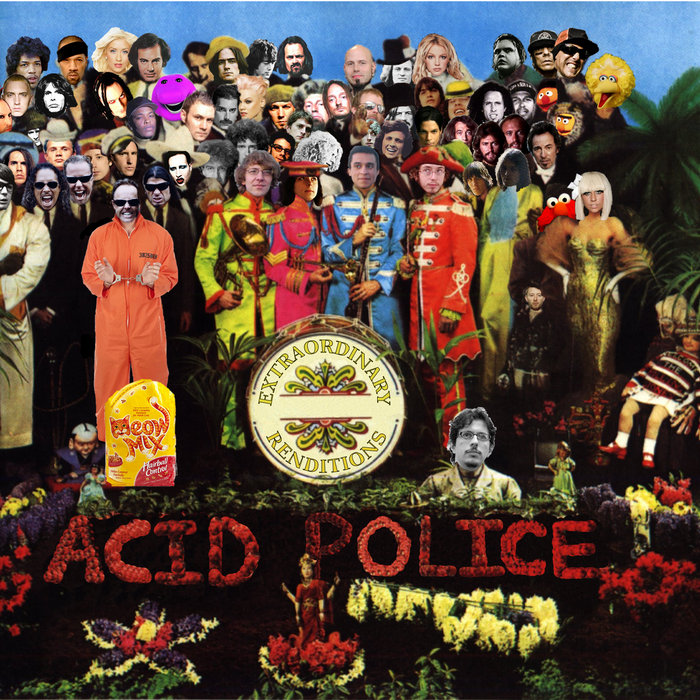 Extraordinary Renditions | Acid Police Noise Ensemble | zeromoon