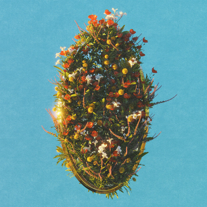 HARMONY BLOOMS | Velvet Trip