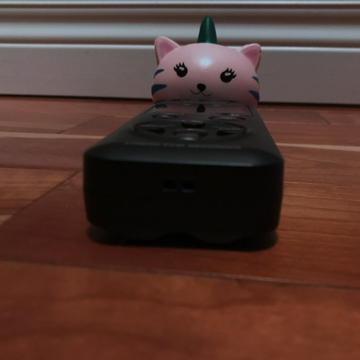 Talkative, Tardy Cat Taps Things for Your Relaxation | PurplePawPadsASMR