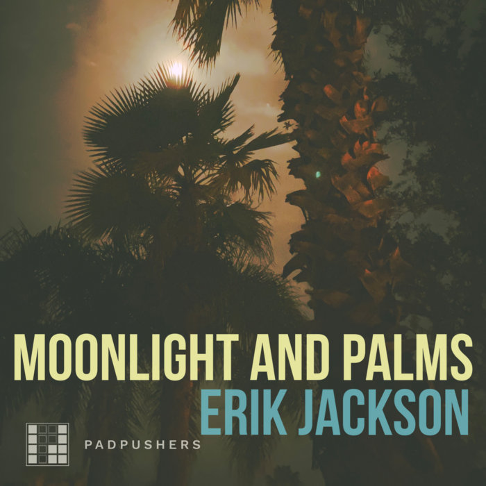 Moonlight and Palms | Erik Jackson
