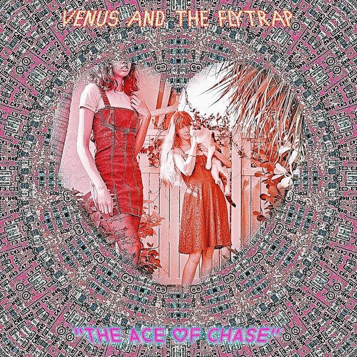The Ace of Chase | Venus and the Flytrap | Jestamang