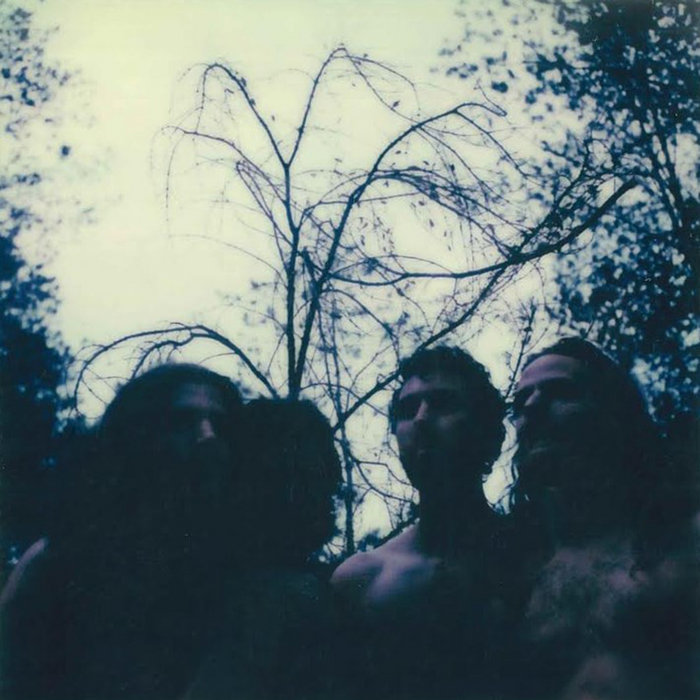 Perfecto Zayuelas | Boogie Bush