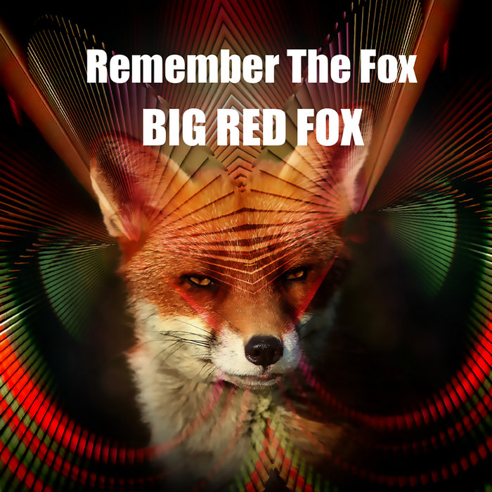 Remember the Fox | BIG RED FOX