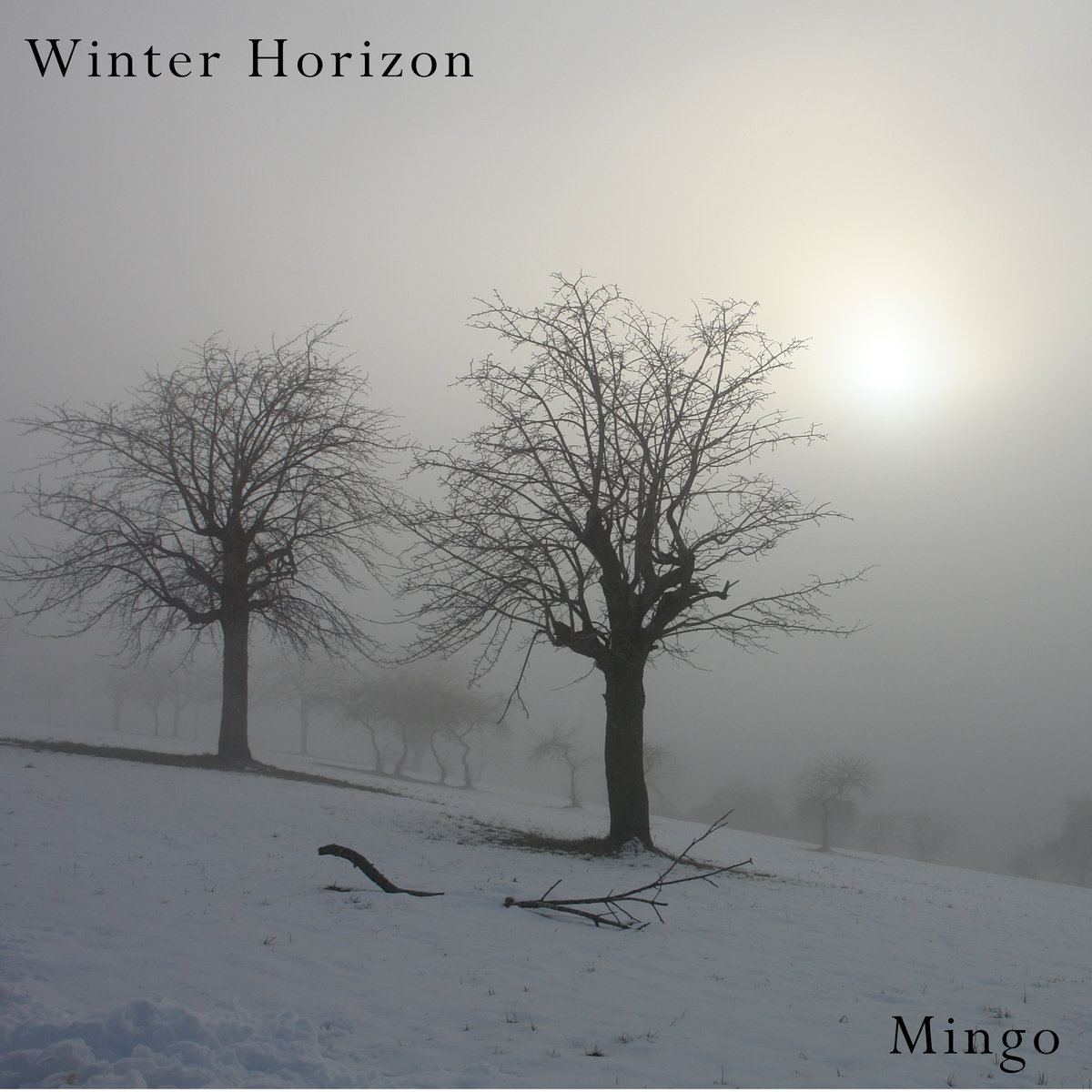 Winter Horizon | Mingo