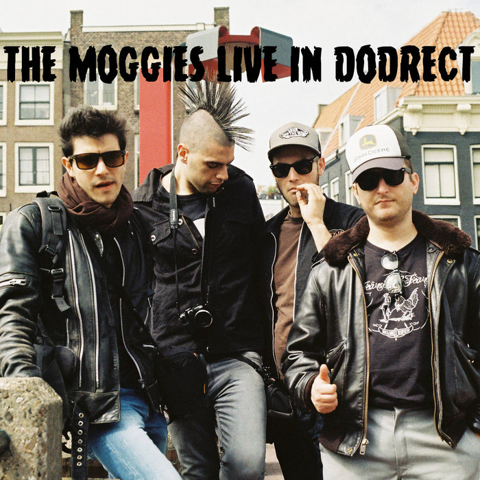 THE MOGGIES LIVE IN DODRECT | THE MOGGIES