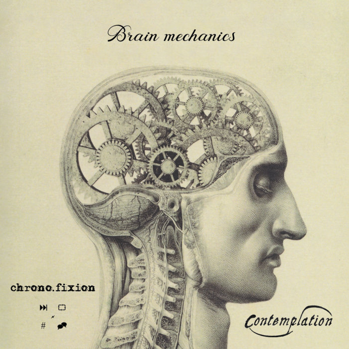 Brain mechanics | contemplation