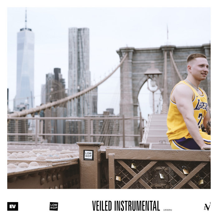 VEILED INSTRUMENTAL | Trackscan | LOWHOP-Records