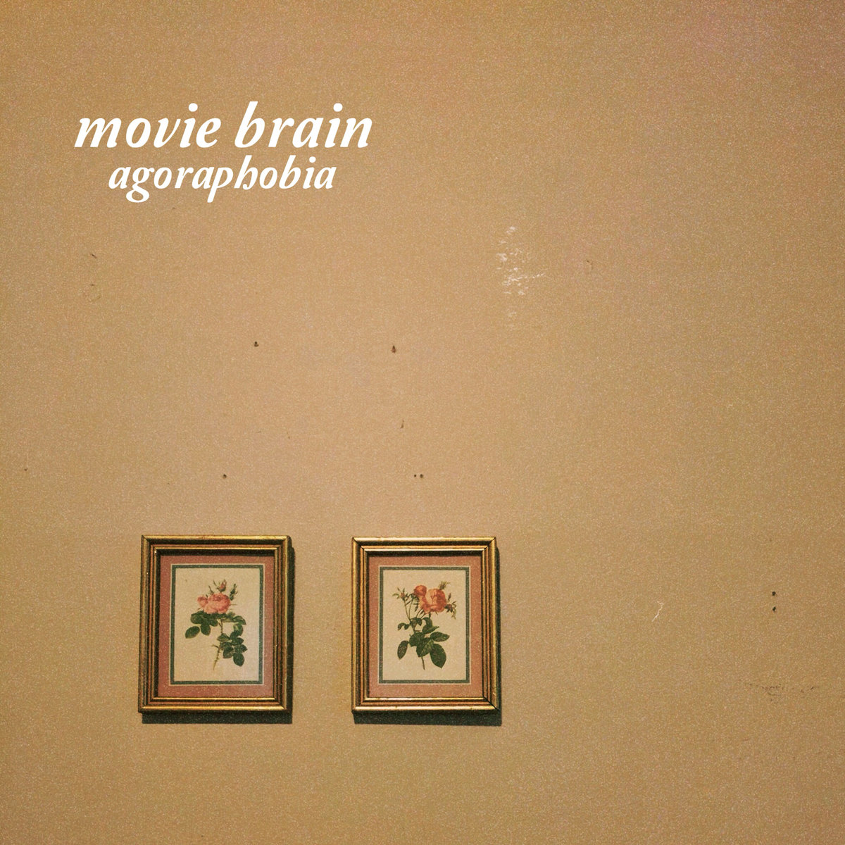 agoraphobia | Movie Brain