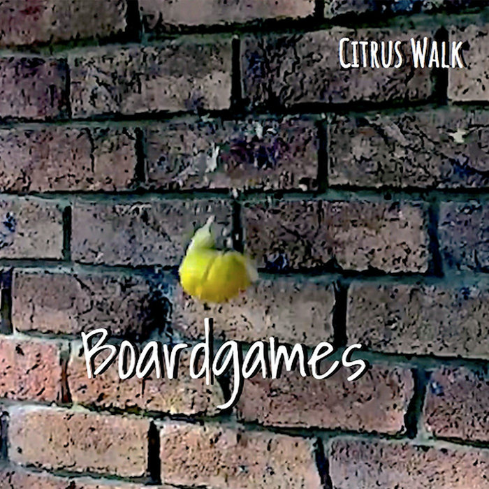 Boardgames | Citrus Walk