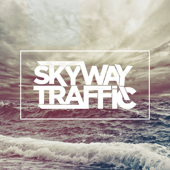 Taylor Swift Shake It Off Album Cover