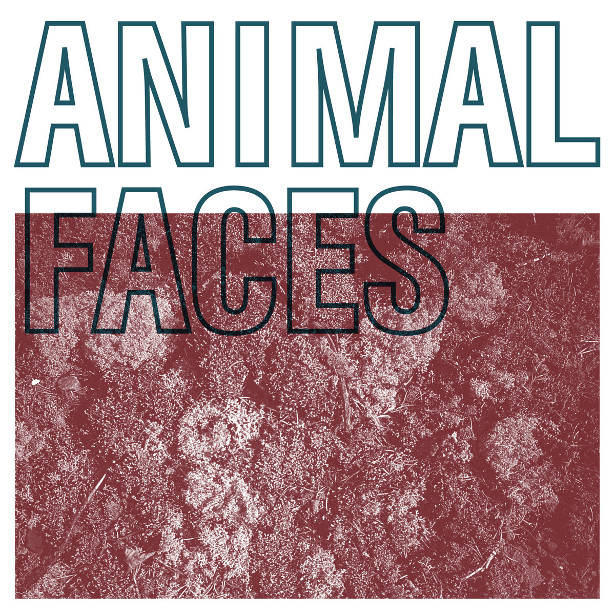 Animal Faces / Solids Split | Animal Faces