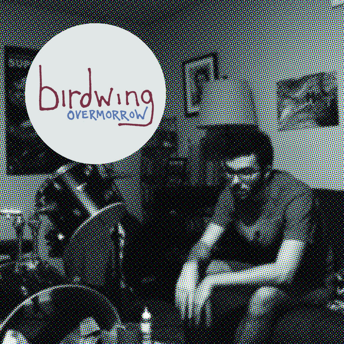 Overmorrow | Birdwing