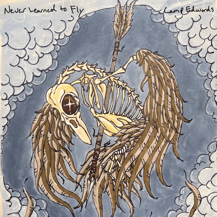 Never Learned to Fly | Camp Edwards | camp edwards