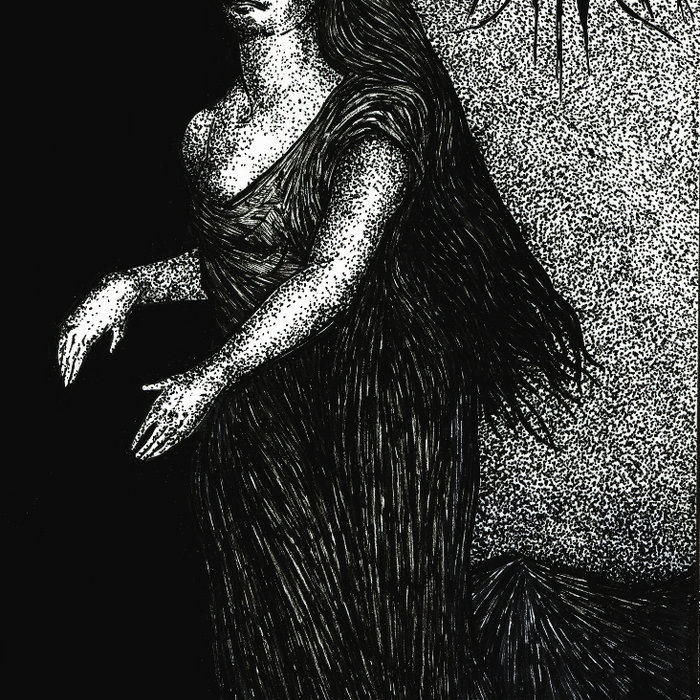 Cara Neir / Venowl Split | Cara Neir / Venowl | Broken Limbs Recordings