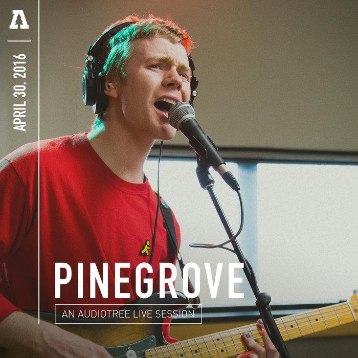 Need 2 | Pinegrove