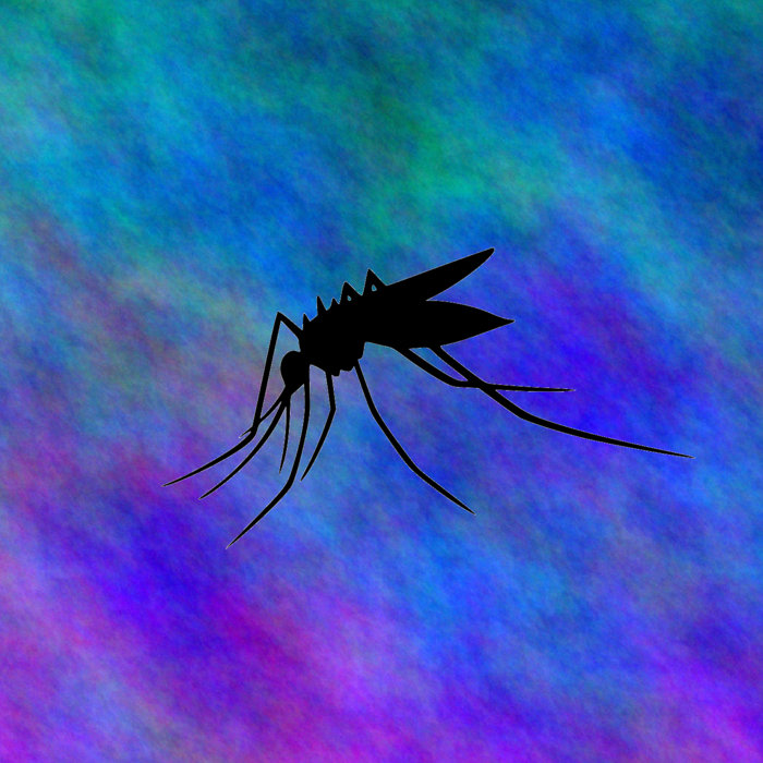 Fat Mosquito | Childhood Strangers