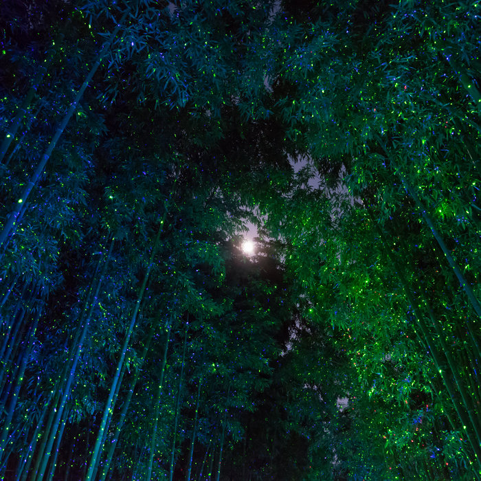 Netherkinesis, Cthonikinesis, Sacred Quintessence, Nether Manipulation ...