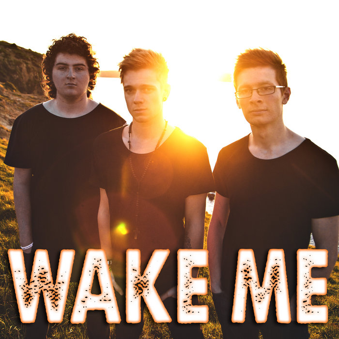 Wake Me | The Silver Fox Project
