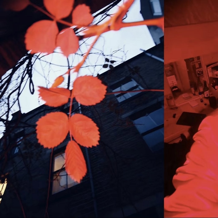 blue light // pescribe // ten things // 16 (2024 FMP) | Ethan Squire