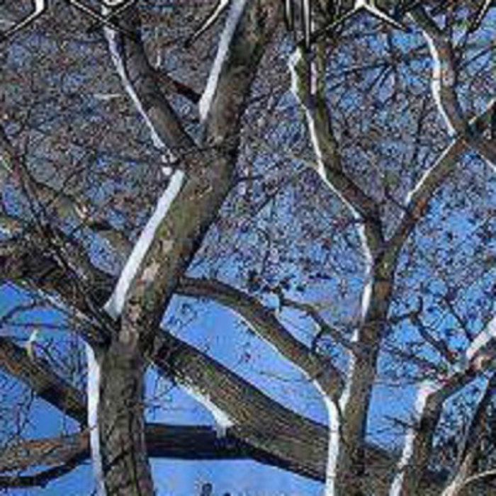 Discography II (2007-2009) | Light Shall Prevail | EEE Recordings