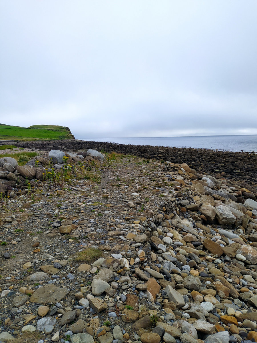 Evergreen | Eric Barrett