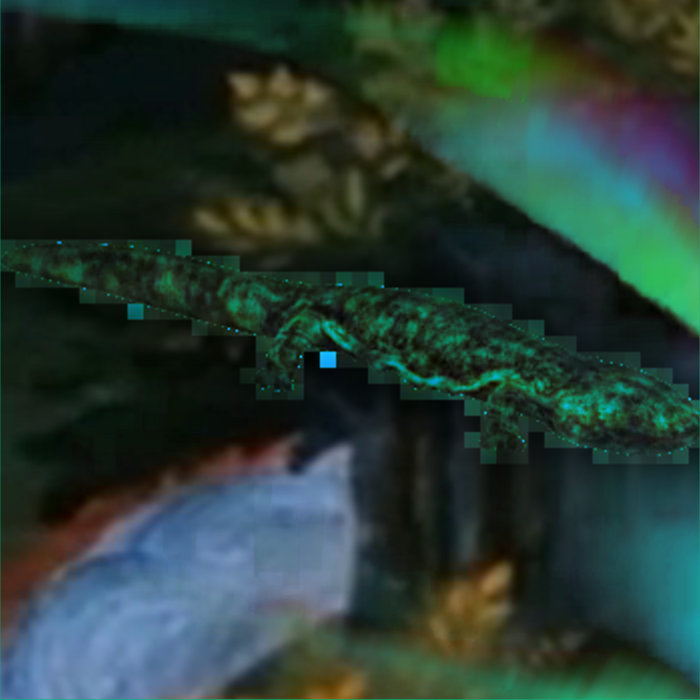 -PATH | QANAZIQI | light source company.