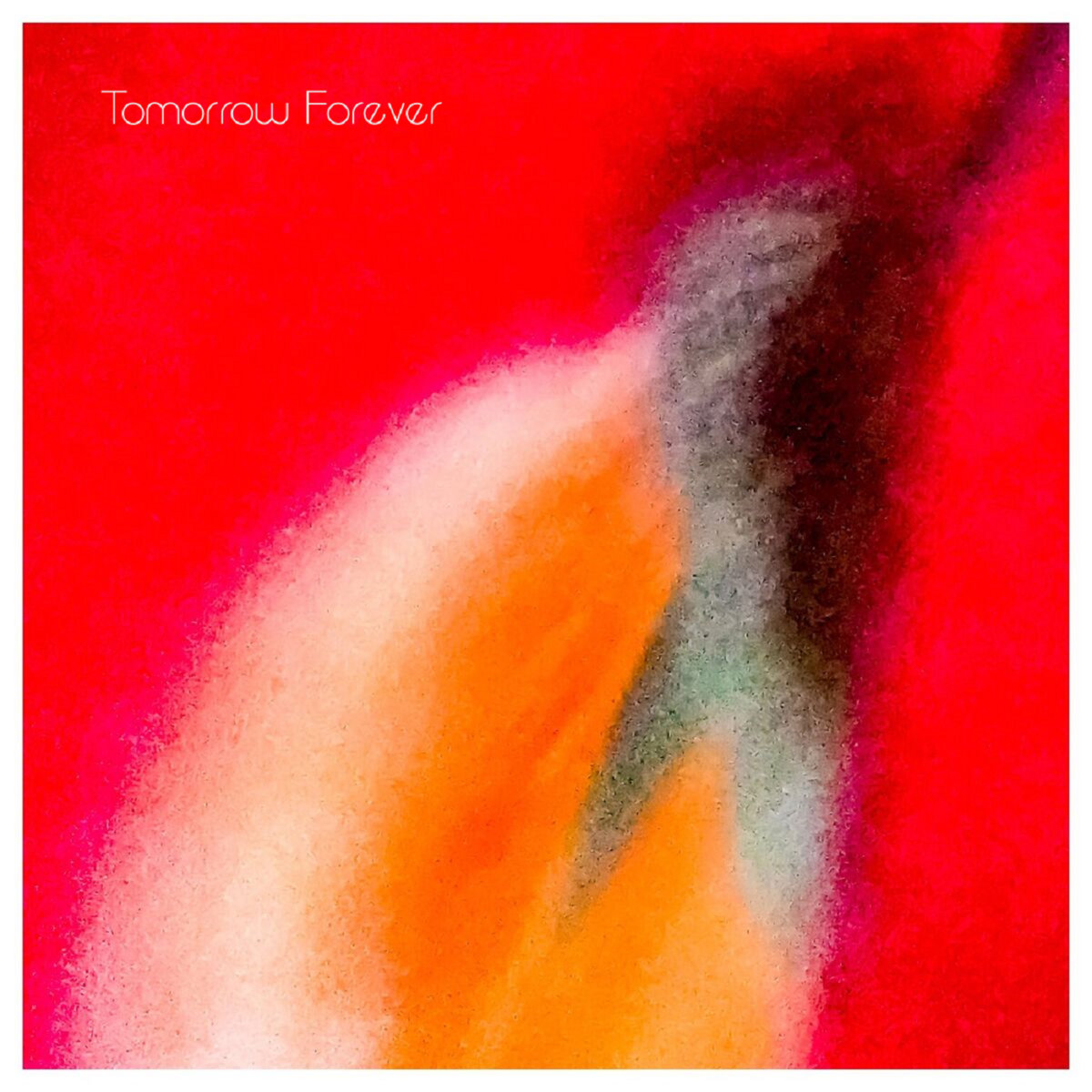 Tomorrow Forever - EP | Tomorrow Forever