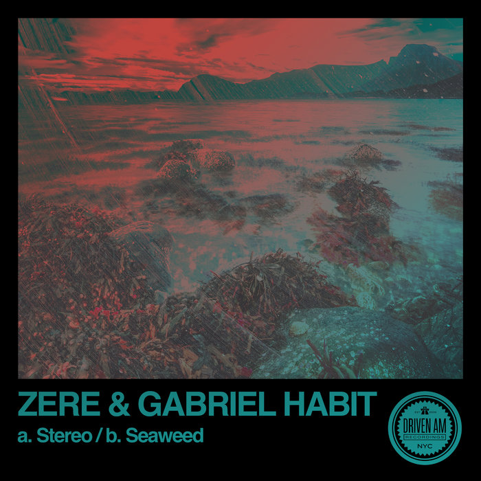 Zere & Gabriel Habit - Stereo / Seaweed | Zere, Gabriel Habit | Driven ...