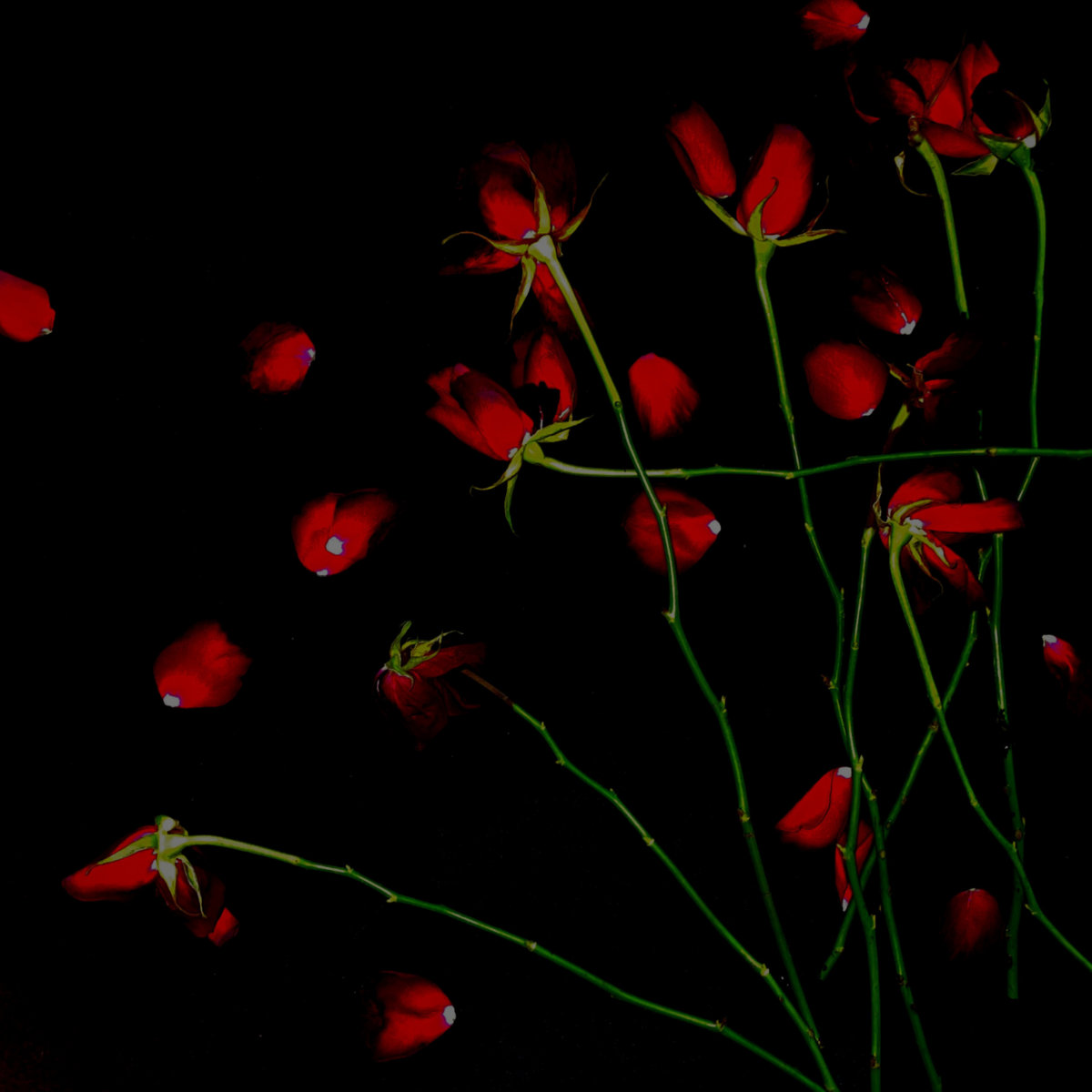 Self Development | DJ Freakuency | Scumklub