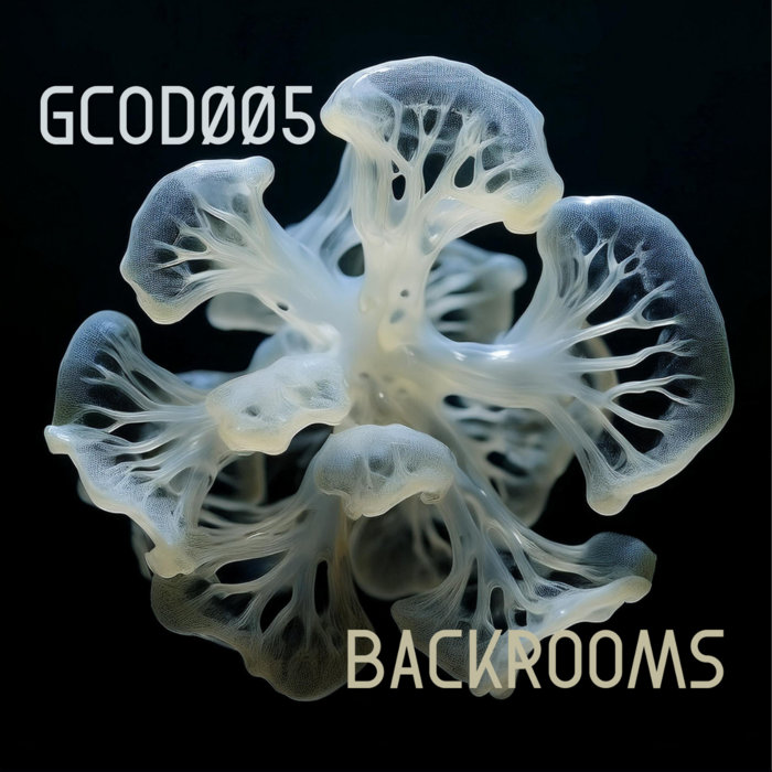Backrooms [GCOD005] | GCOD